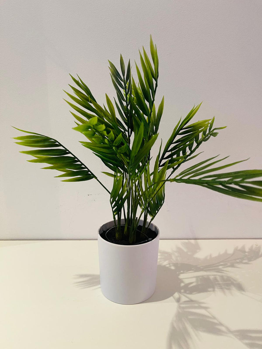 PALMA MINI – Atico rental